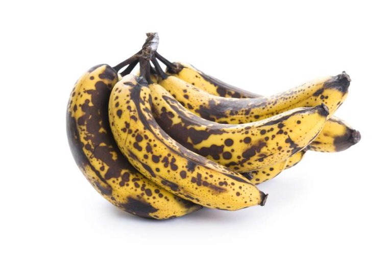 shutterstock_93041986 | DERBY® PREMIUM BANANAS