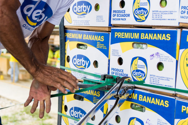 DERBY® PREMIUM BANANAS