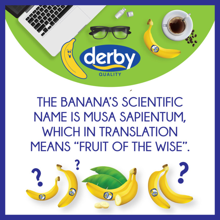 DERBY® PREMIUM BANANAS