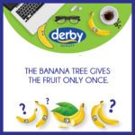 DERBY® PREMIUM BANANAS